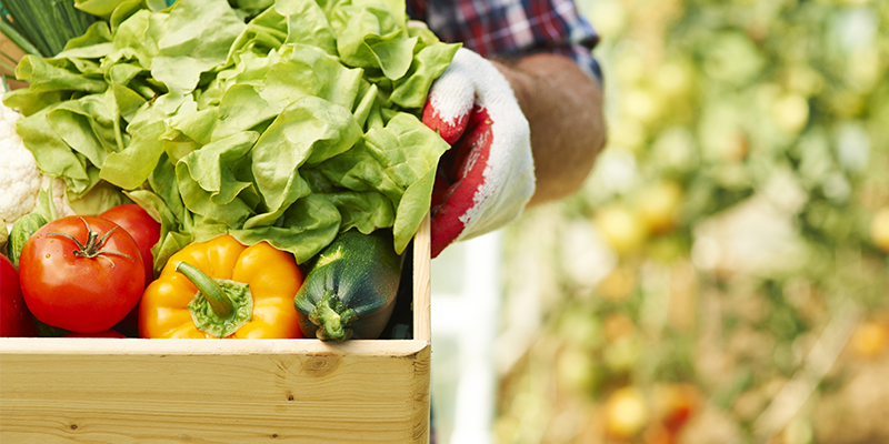 Les fruits et légumes biologiques de la ferme Mont et Merveilles - Mont ...